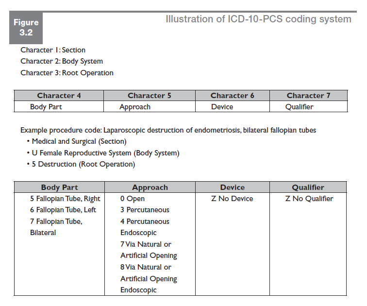 Guest Post The Anatomy Of The ICD 10 PCS Code ACDIS Guest Post The Anatomy Of The ICD 10 PCS Code ACDIS